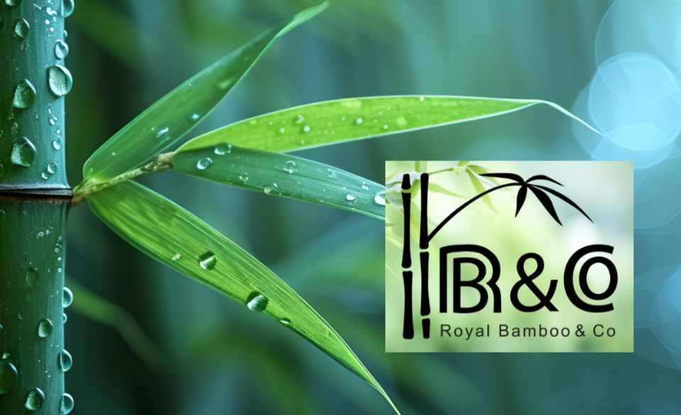 Royal Bamboo & Co — Créations en bambou